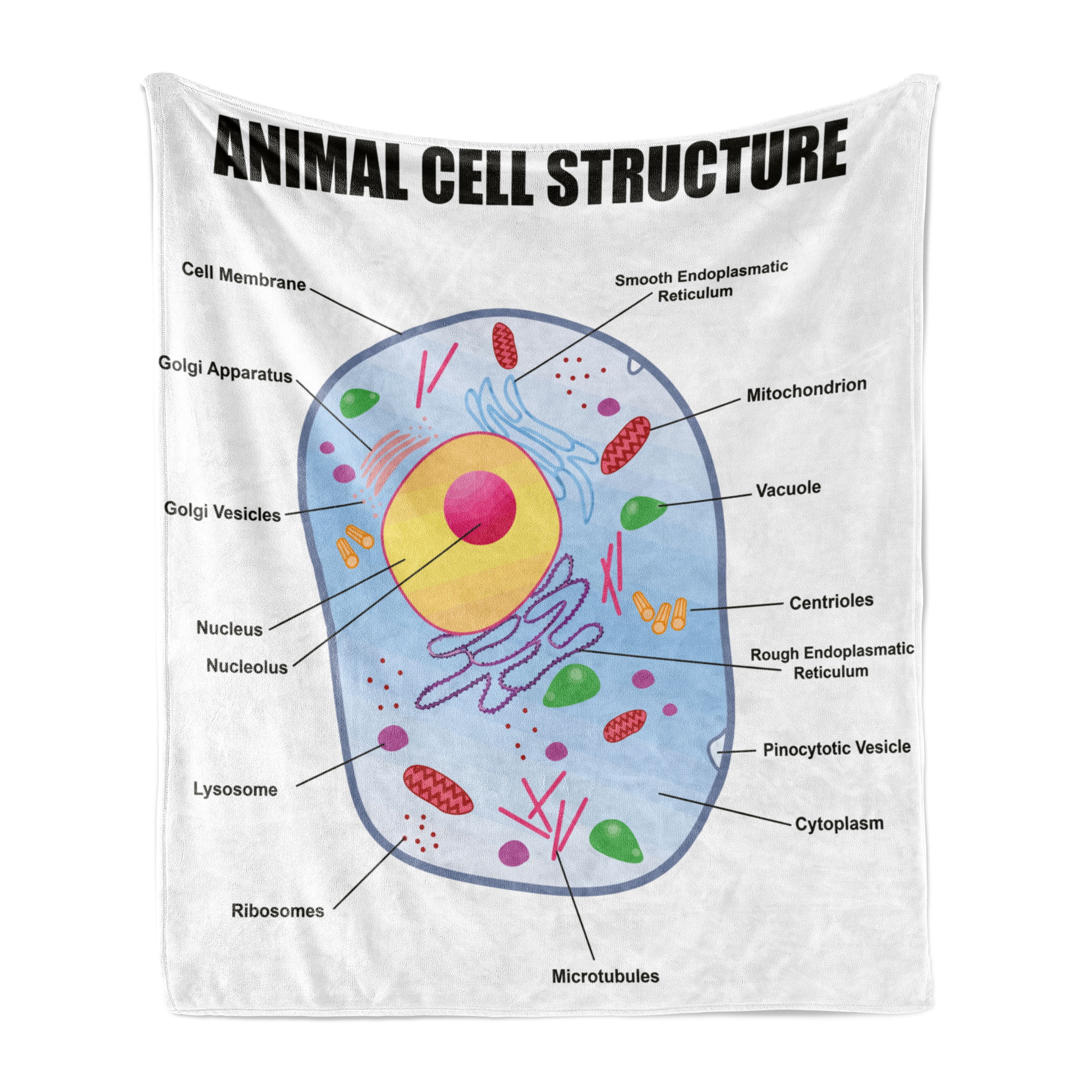 Educational Soft Flannel Fleece Blanket, Microbiology Theme Animal Cell ...