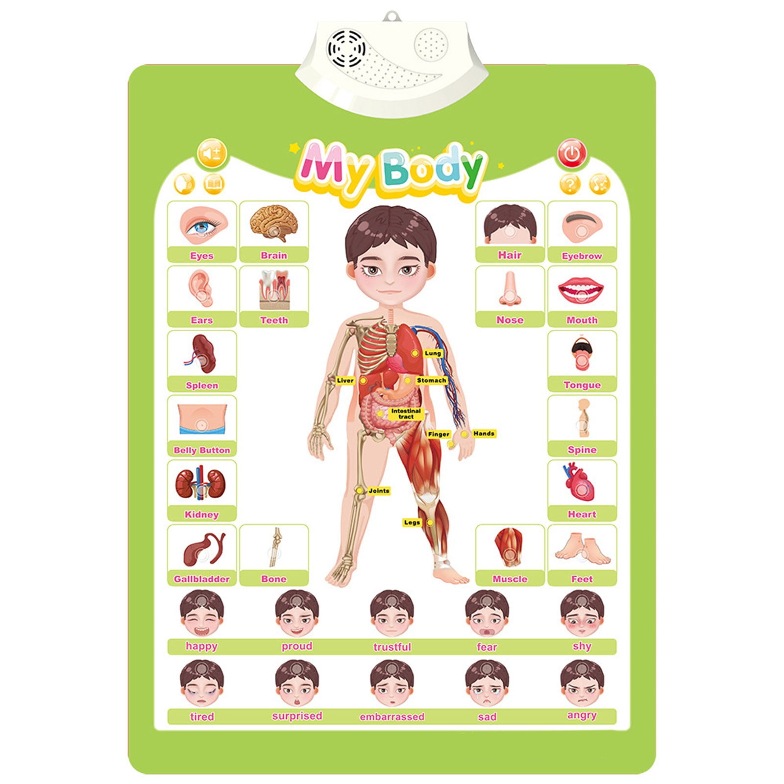 Educational Talking Wall Chart for Kids Interactive Learning Tool for ...