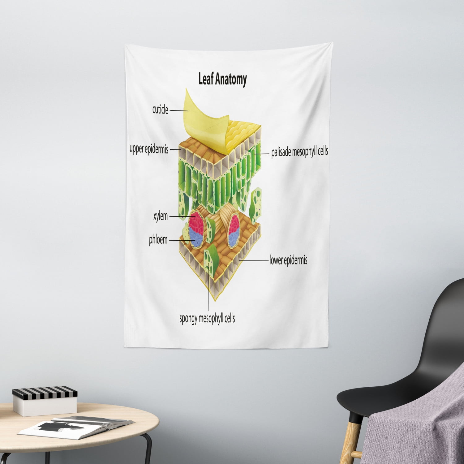 Educational Tapestry, Anatomy of a Leaf Names of the Microscopic Parts ...