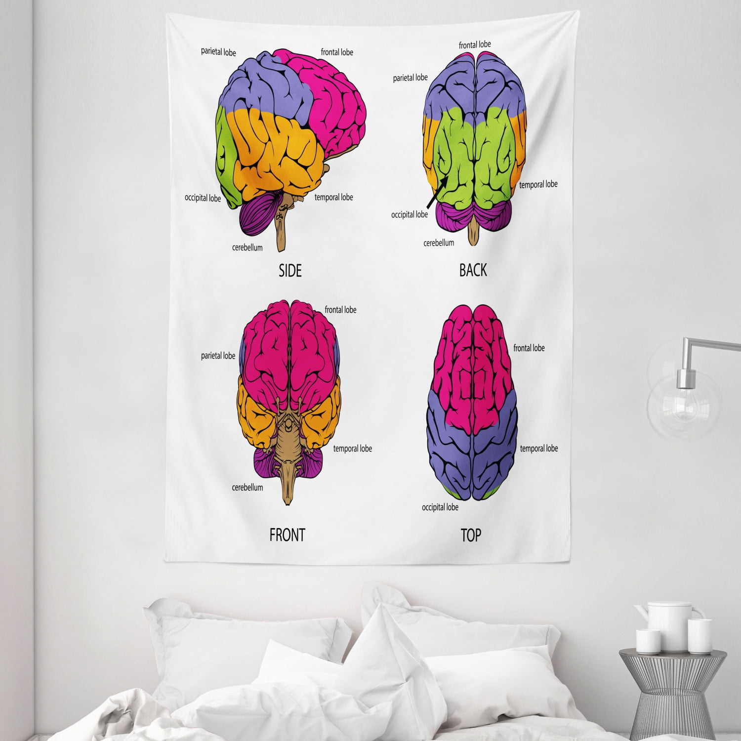 Educational Tapestry, Human Brain from All Sides with Sections in ...