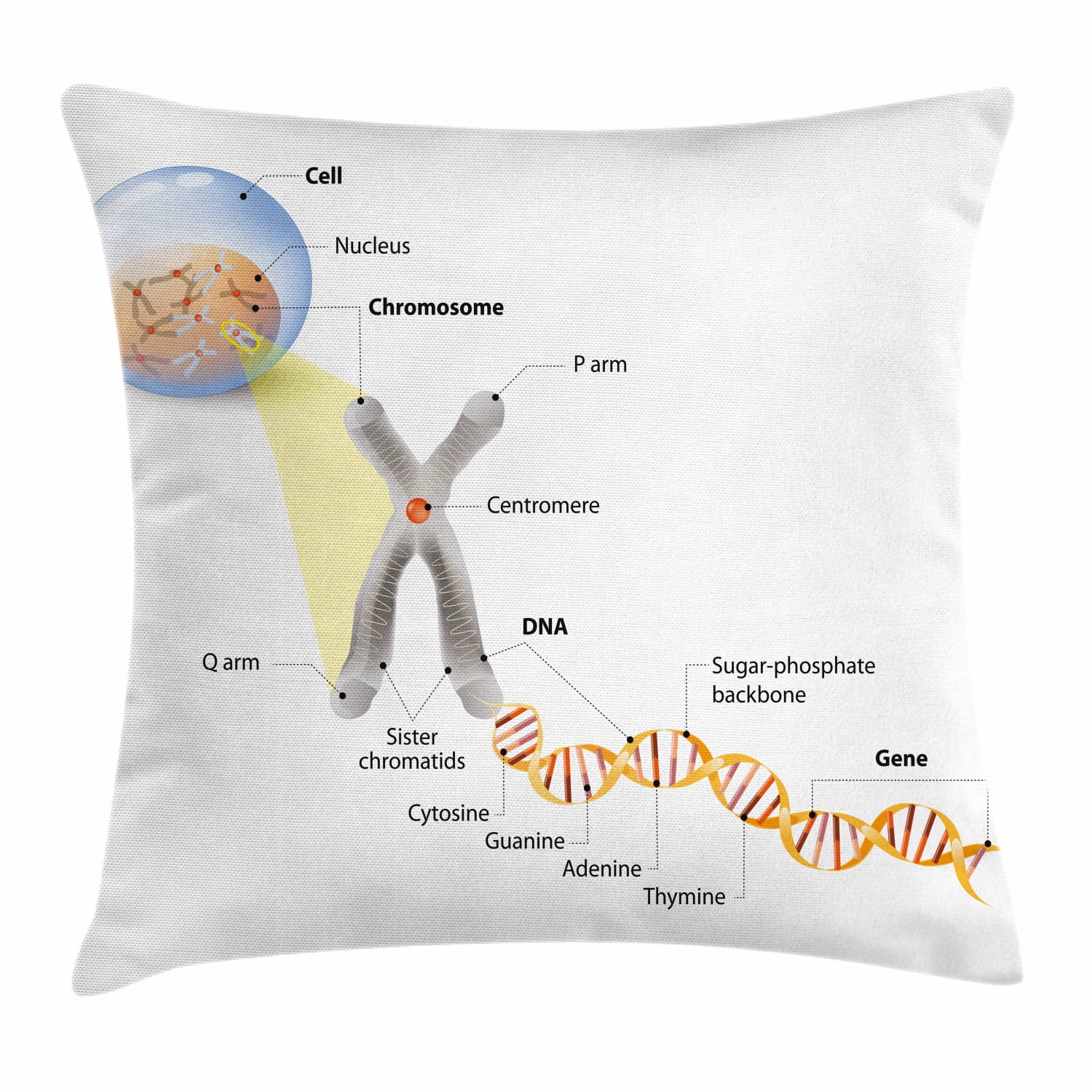 Educational Throw Pillow Cushion Cover, Cell Chromosome DNA Gene Genome ...