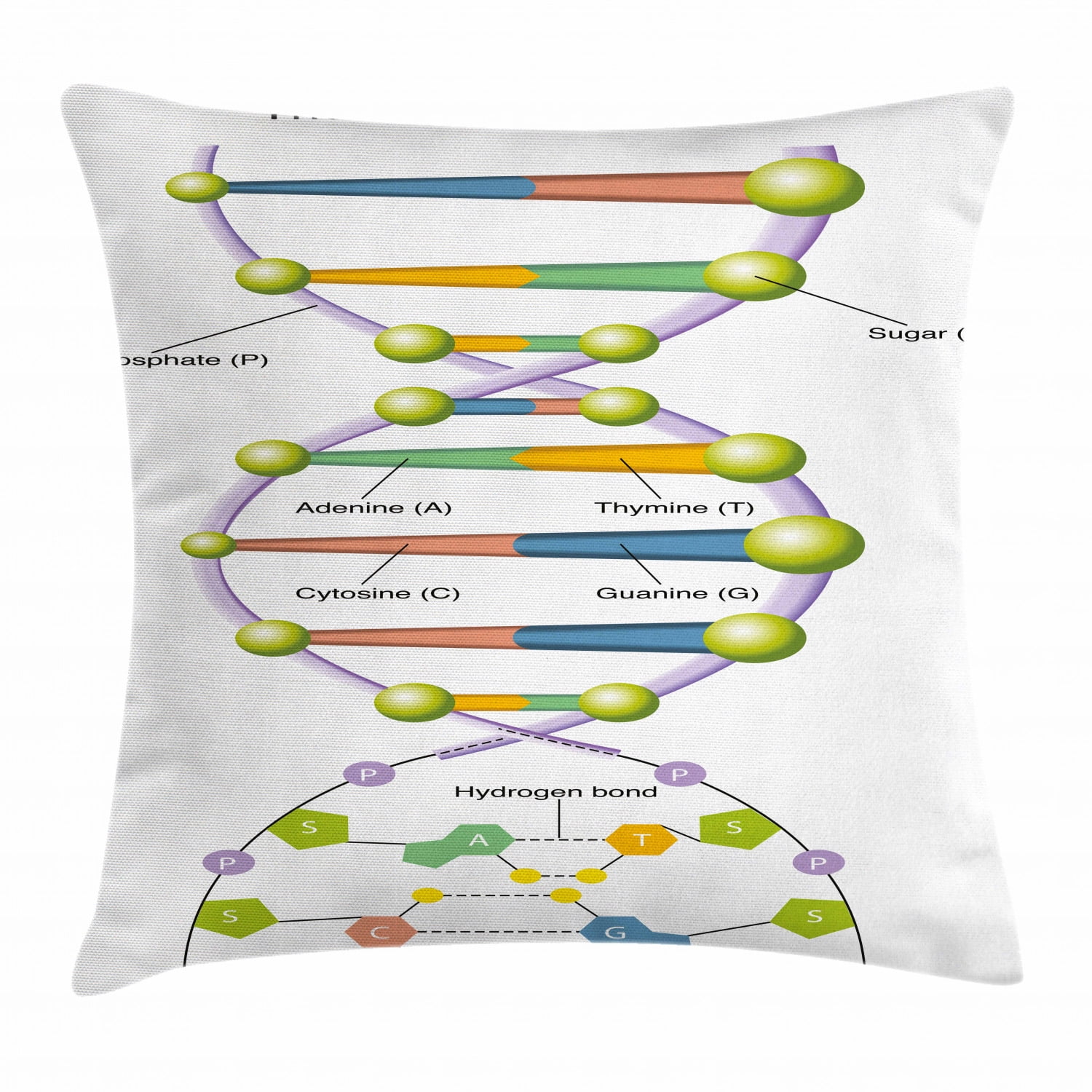 Educational Throw Pillow Cushion Cover, Colorful Structure of DNA ...