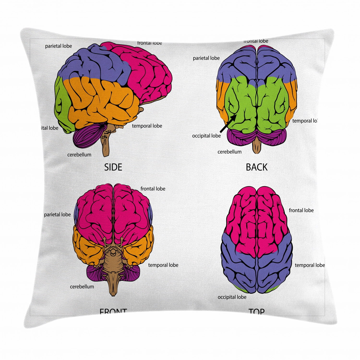 Educational Throw Pillow Cushion Cover, Human Brain from All Sides with Sections in Different ...