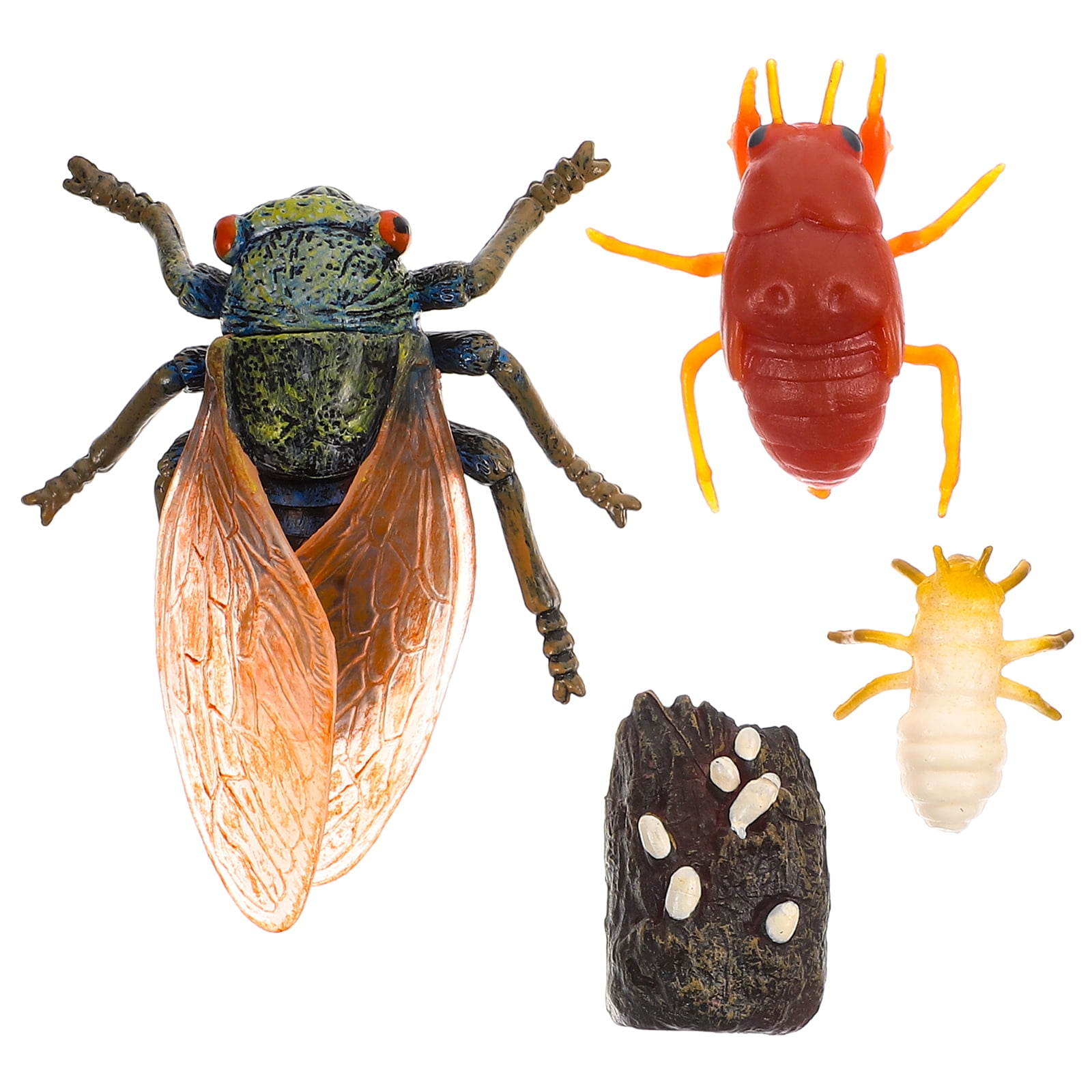 WRISTBIQUE Cicada Display Models Assorted Color 1 Set 3.8X2.2X2.2CM ...