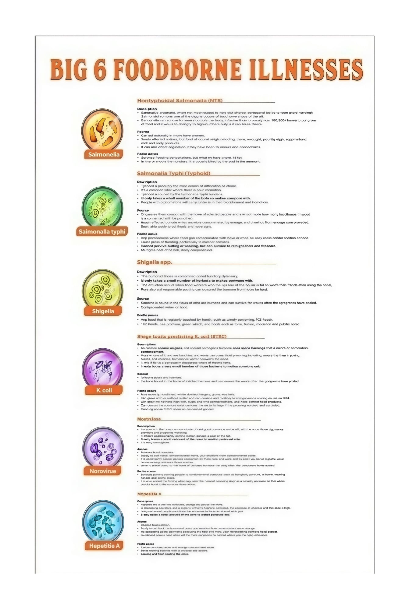 Educational Wall Decor Restaurant Food Safety Poster Big 6 Pathogens ...