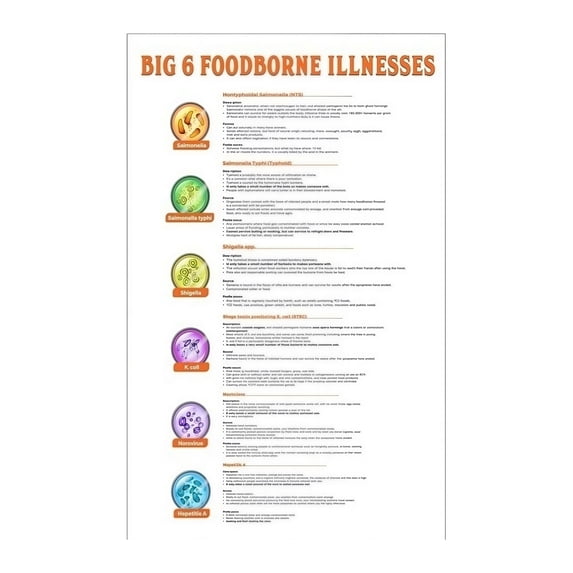 Educational Wall Decor Restaurant Food Safety Poster Big 6 Pathogens ...