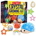 Eduman Kids Magic 12PCS Crystal Growing Kit, Science Educational Toy ...