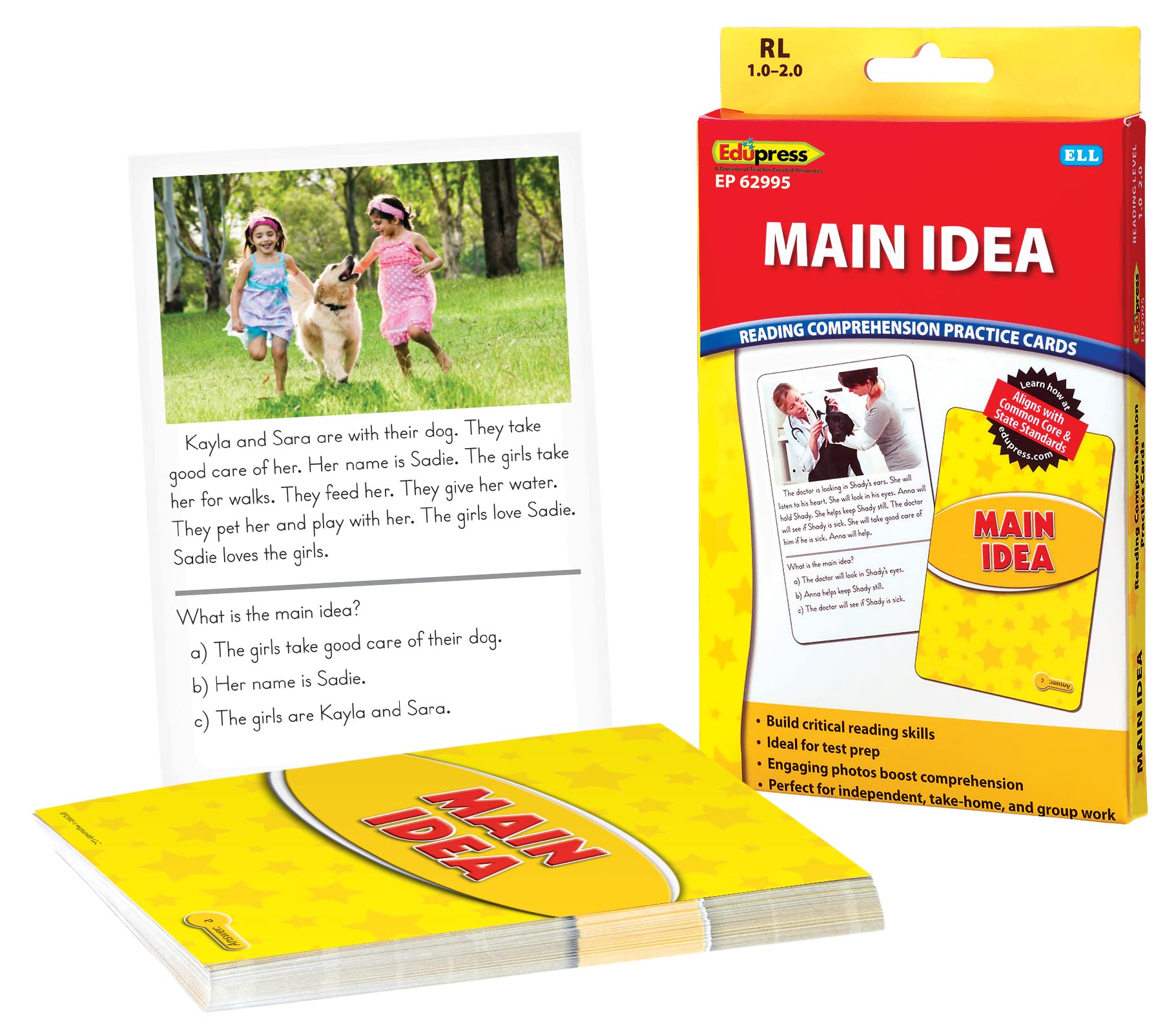 Edupress Reading Comprehension Practice RRF12 Cards, Main Idea, Yellow ...