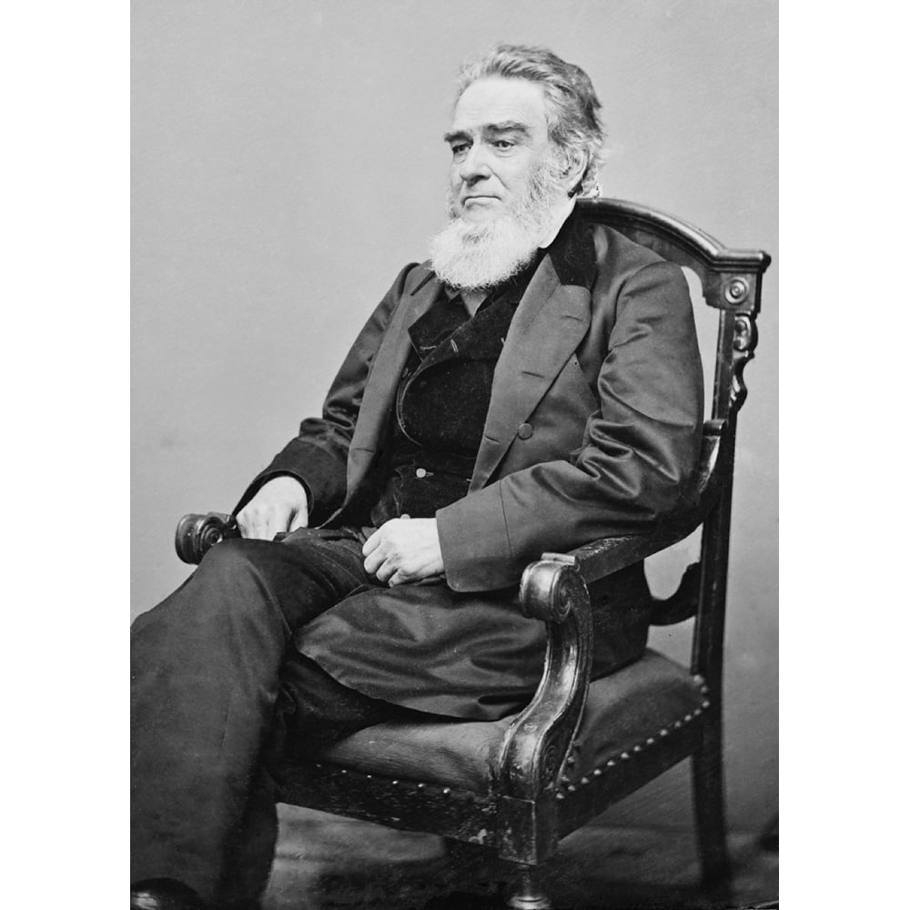 Edward Bates History Poster Print - Walmart.com