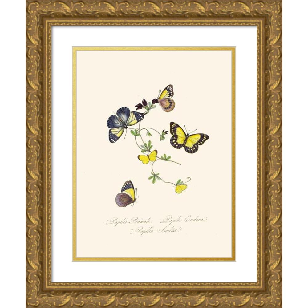 Edward Donovan 12x14 Gold Ornate Wood Frame and Double Matted Museum ...