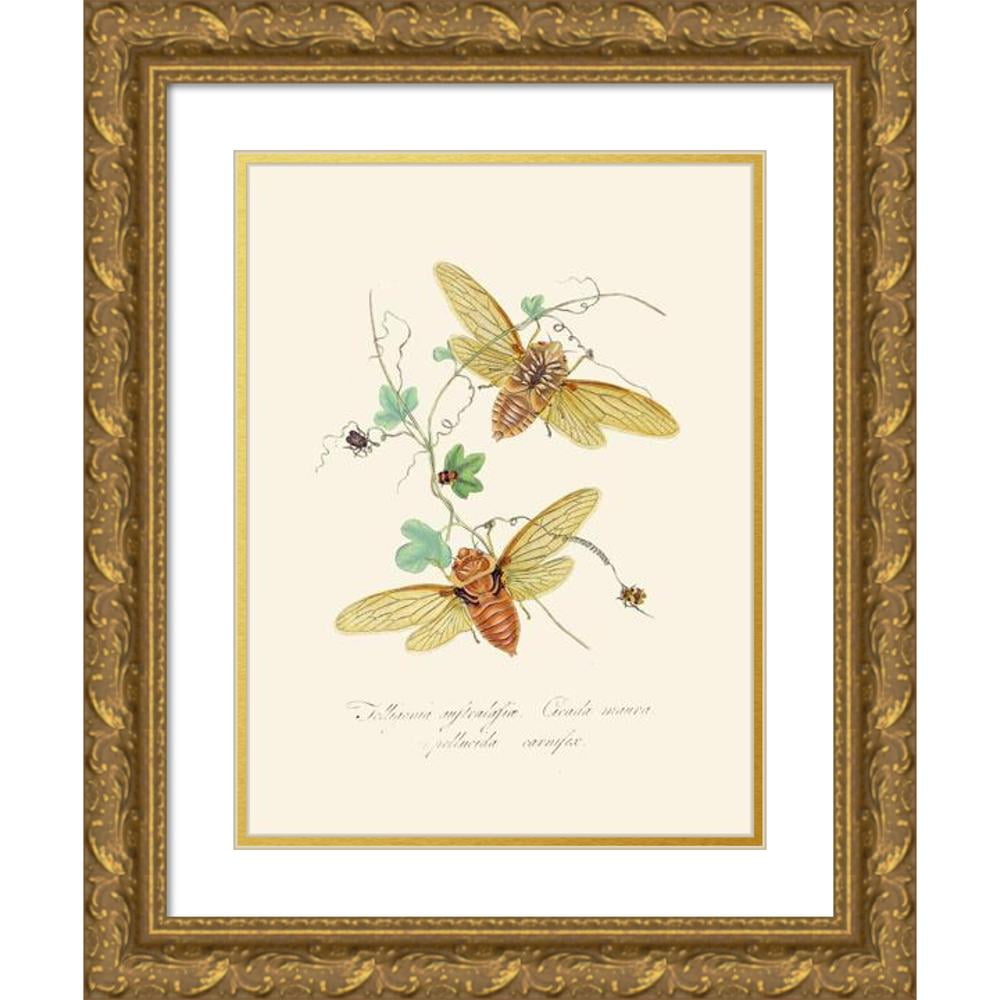 Edward Donovan 15x18 Gold Ornate Wood Frame and Double Matted Museum ...