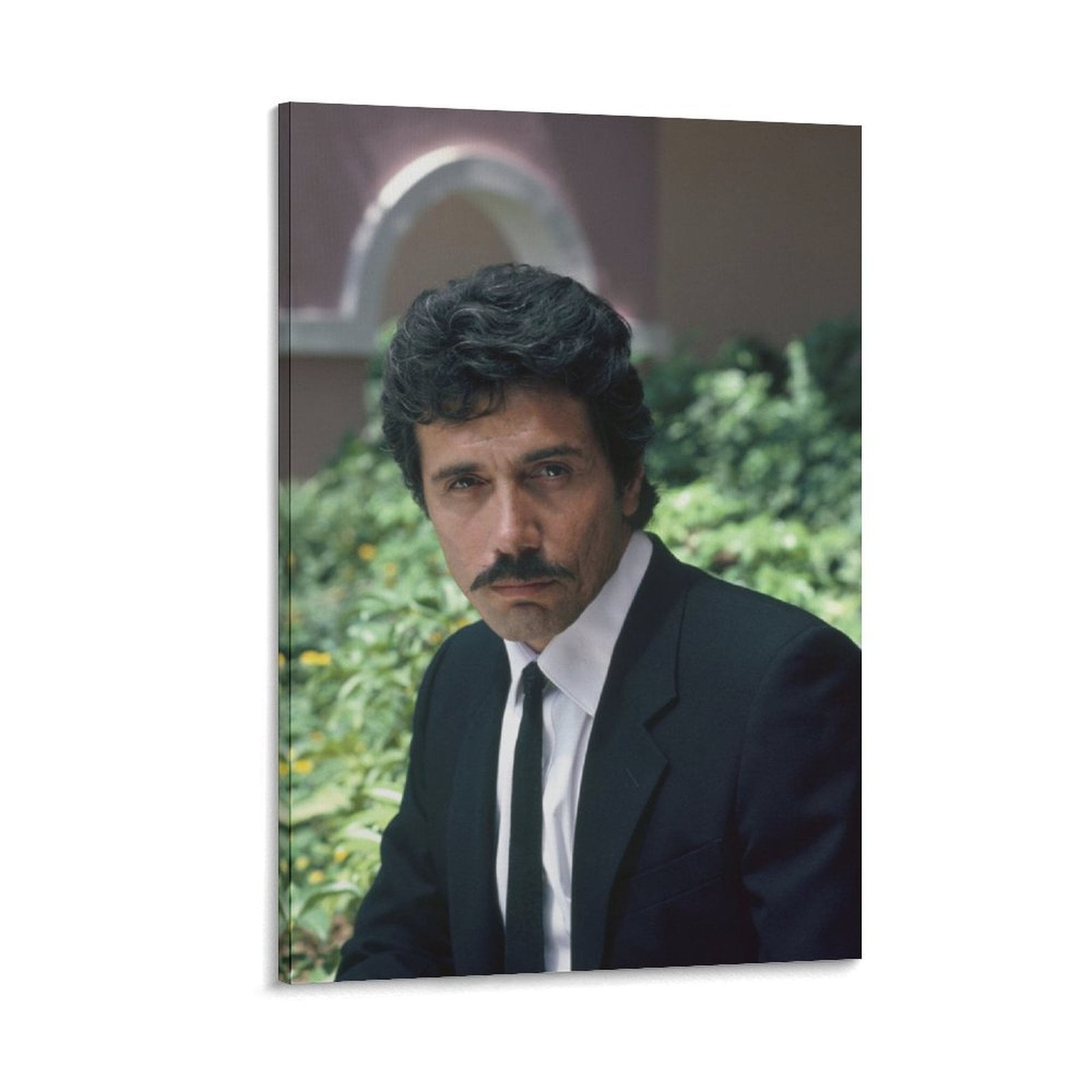 Edward James Olmos Actor Poster Picture Print Wall Art Poster Painting ...