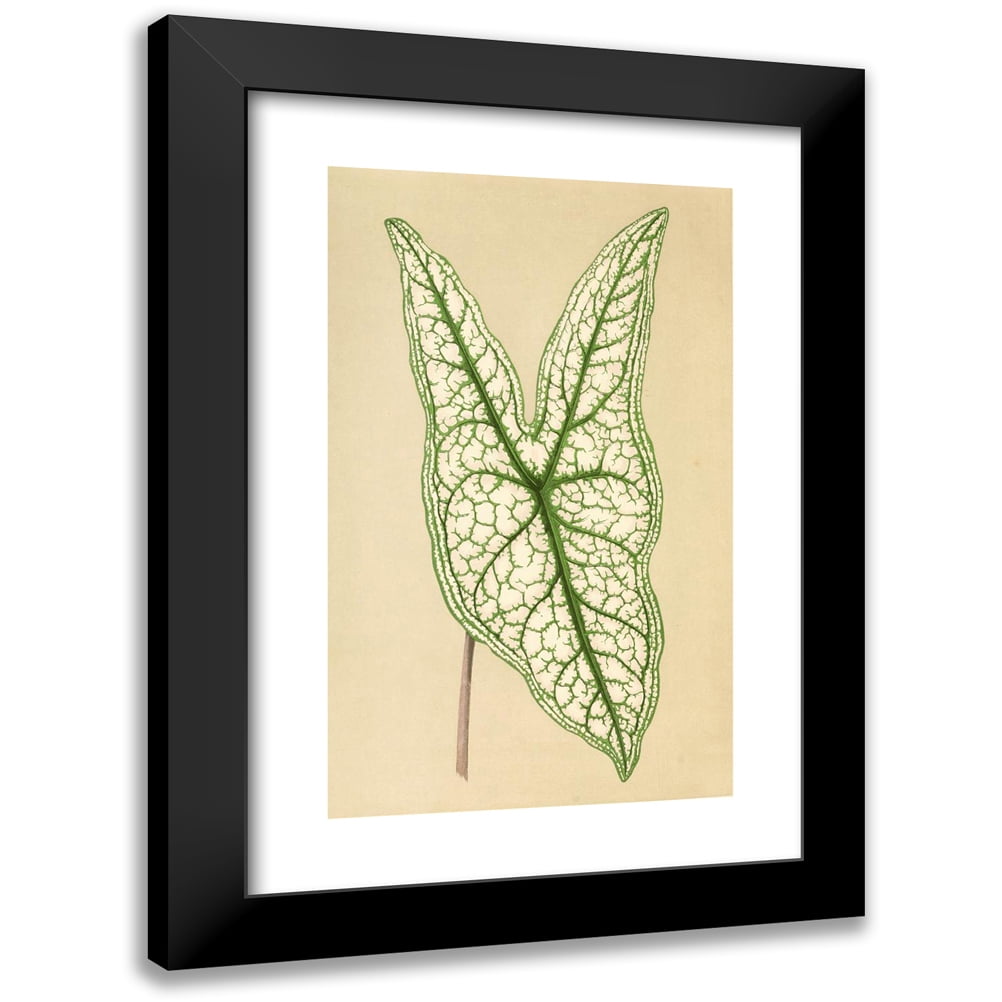 Edward Joseph Lowe 10x14 Black Modern Framed Museum Art Print Titled ...
