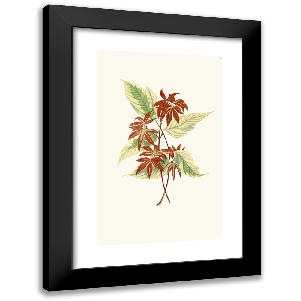 Edward Joseph Lowe 11x14 Black Modern Framed Museum Art Print Titled ...