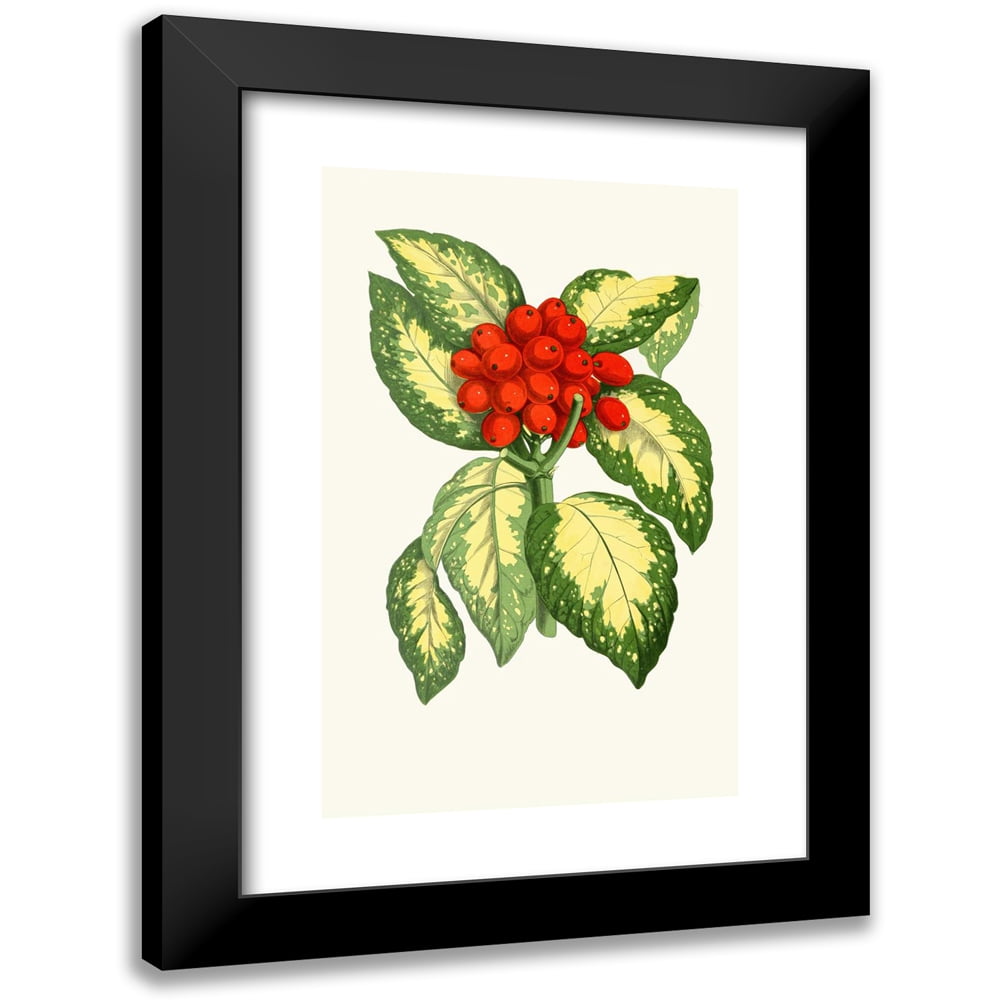 Edward Joseph Lowe 11x14 Black Modern Framed Museum Art Print Titled ...