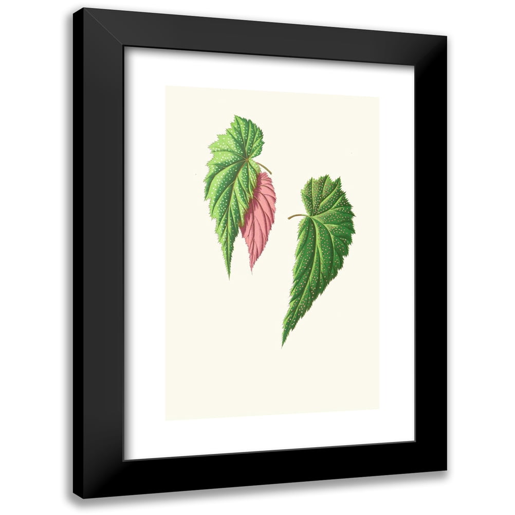 Edward Joseph Lowe 11x14 Black Modern Framed Museum Art Print Titled ...