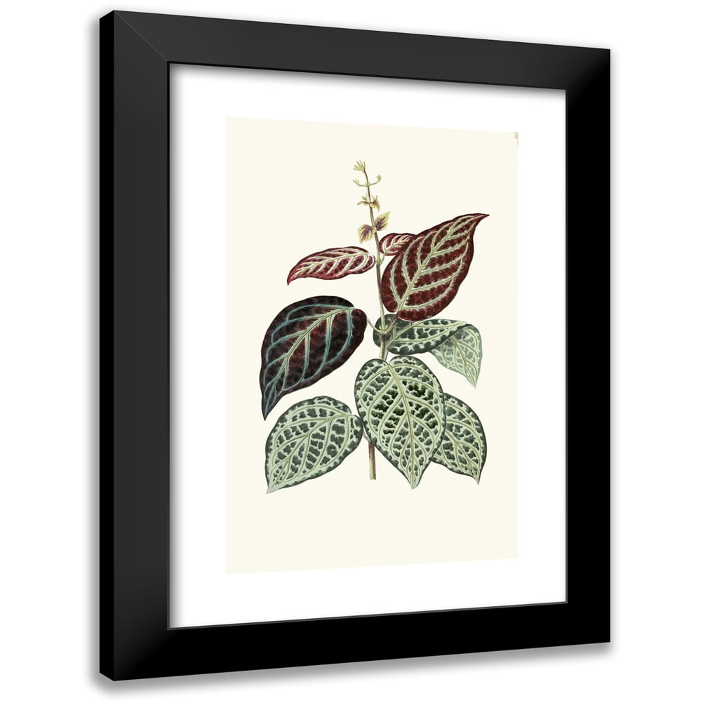 Edward Joseph Lowe 11x14 Black Modern Framed Museum Art Print Titled ...