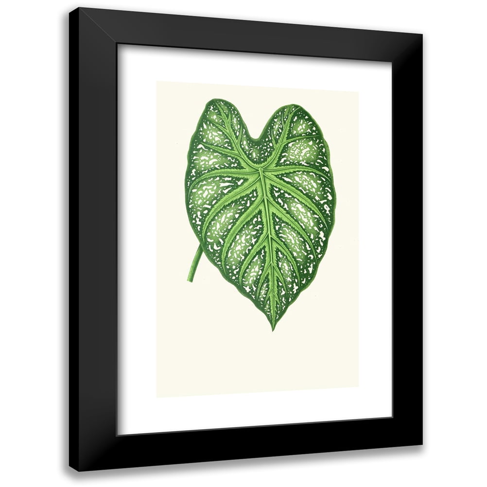 Edward Joseph Lowe 11x14 Black Modern Framed Museum Art Print Titled ...