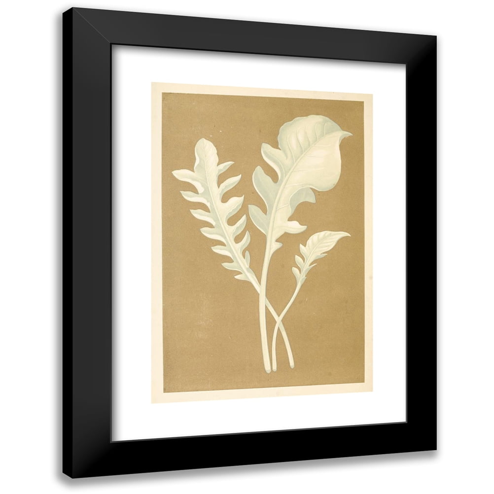 Edward Joseph Lowe 11x14 Black Modern Framed Museum Art Print Titled ...