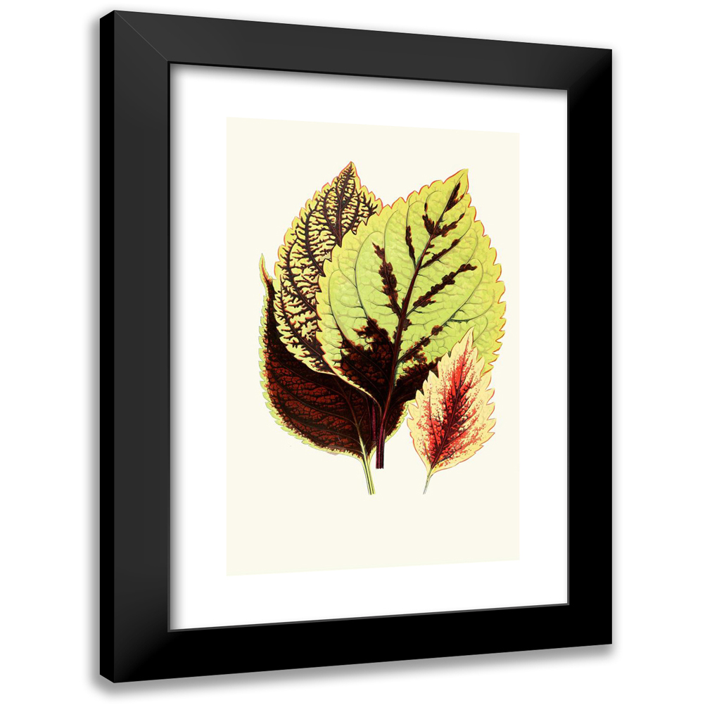 Edward Joseph Lowe 11x14 Black Modern Framed Museum Art Print Titled ...