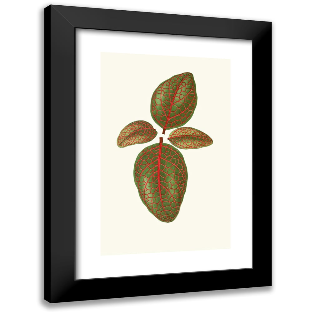 Edward Joseph Lowe 11x14 Black Modern Framed Museum Art Print Titled ...