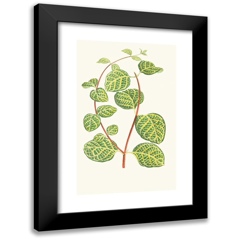 Edward Joseph Lowe 11x14 Black Modern Framed Museum Art Print Titled ...