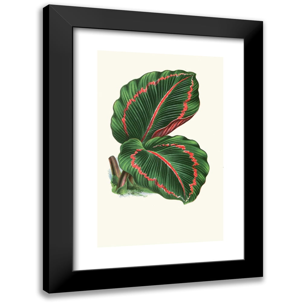 Edward Joseph Lowe 11x14 Black Modern Framed Museum Art Print Titled ...