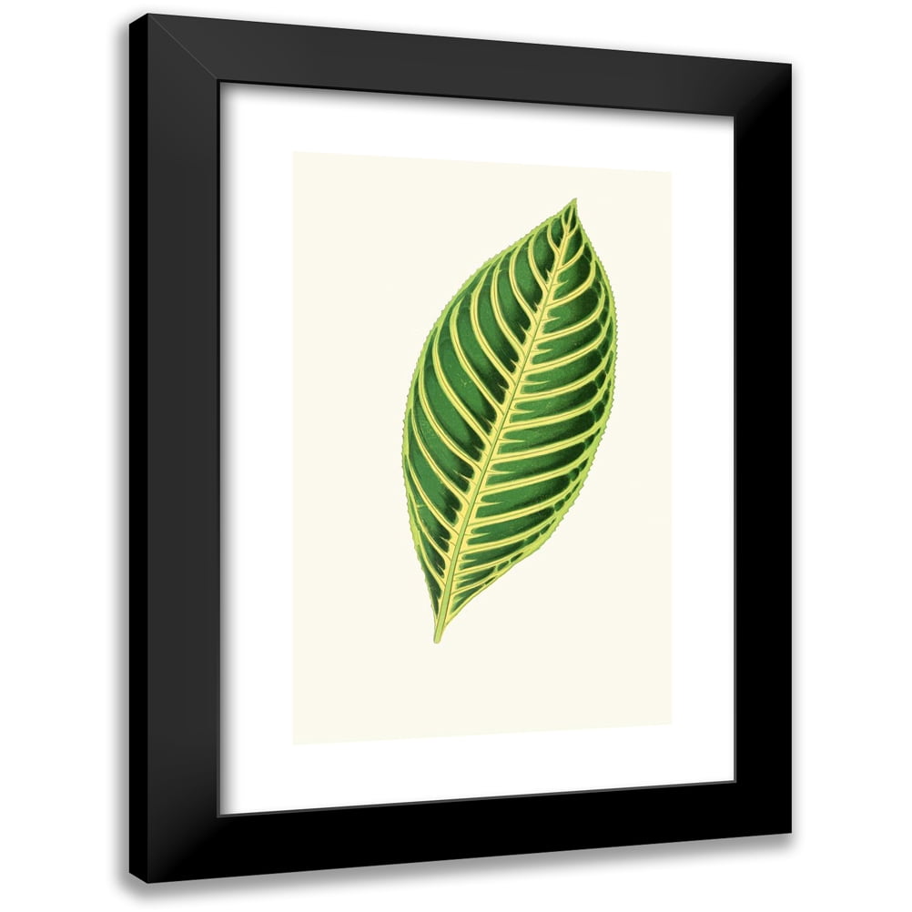 Edward Joseph Lowe 11x14 Black Modern Framed Museum Art Print Titled ...