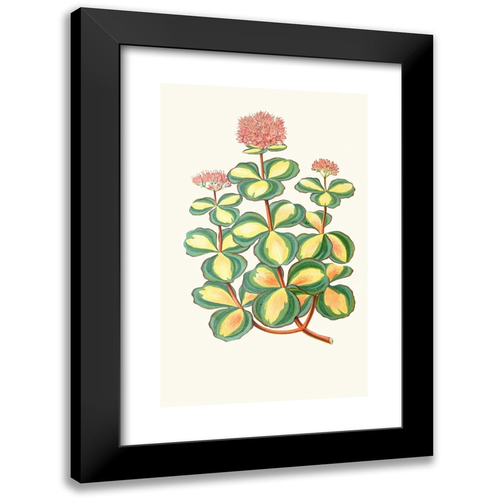 Edward Joseph Lowe 11x14 Black Modern Framed Museum Art Print Titled ...