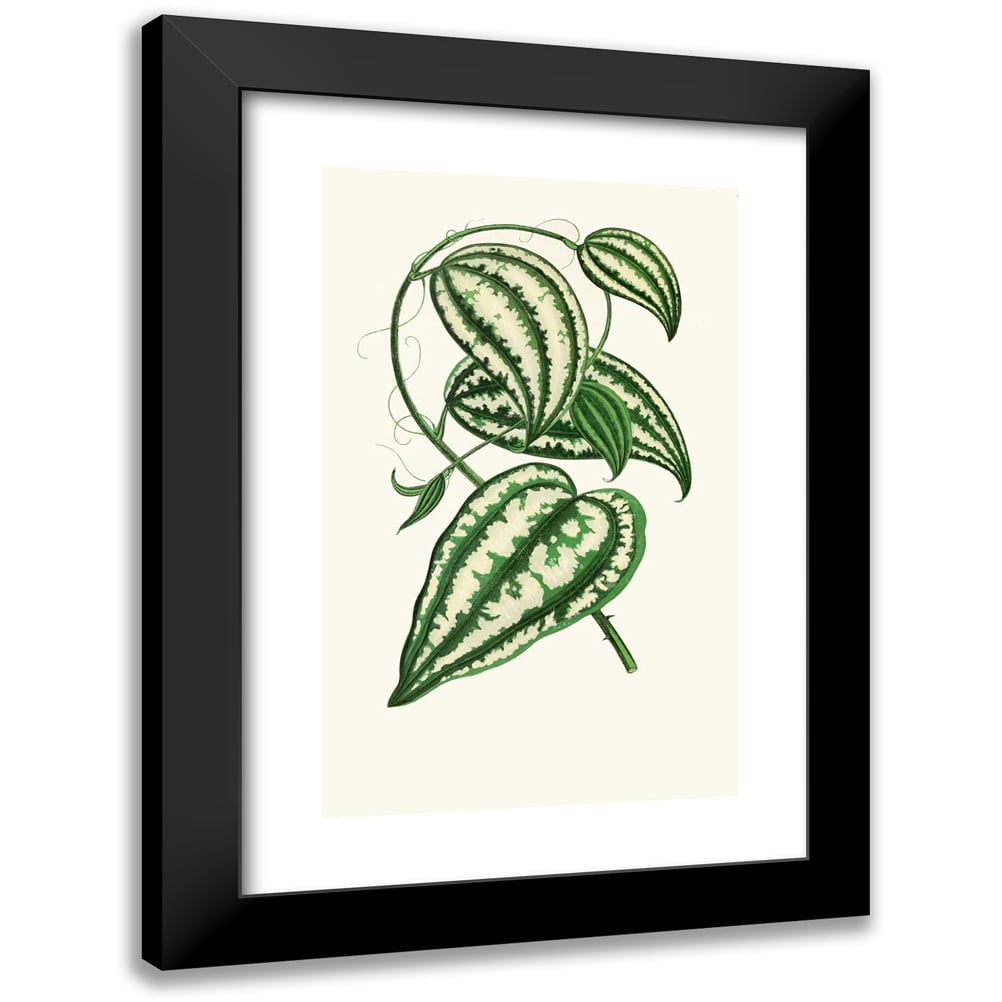 Edward Joseph Lowe 11x14 Black Modern Framed Museum Art Print Titled ...