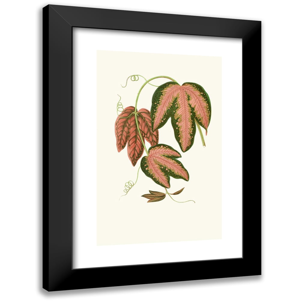 Edward Joseph Lowe 11x14 Black Modern Framed Museum Art Print Titled ...