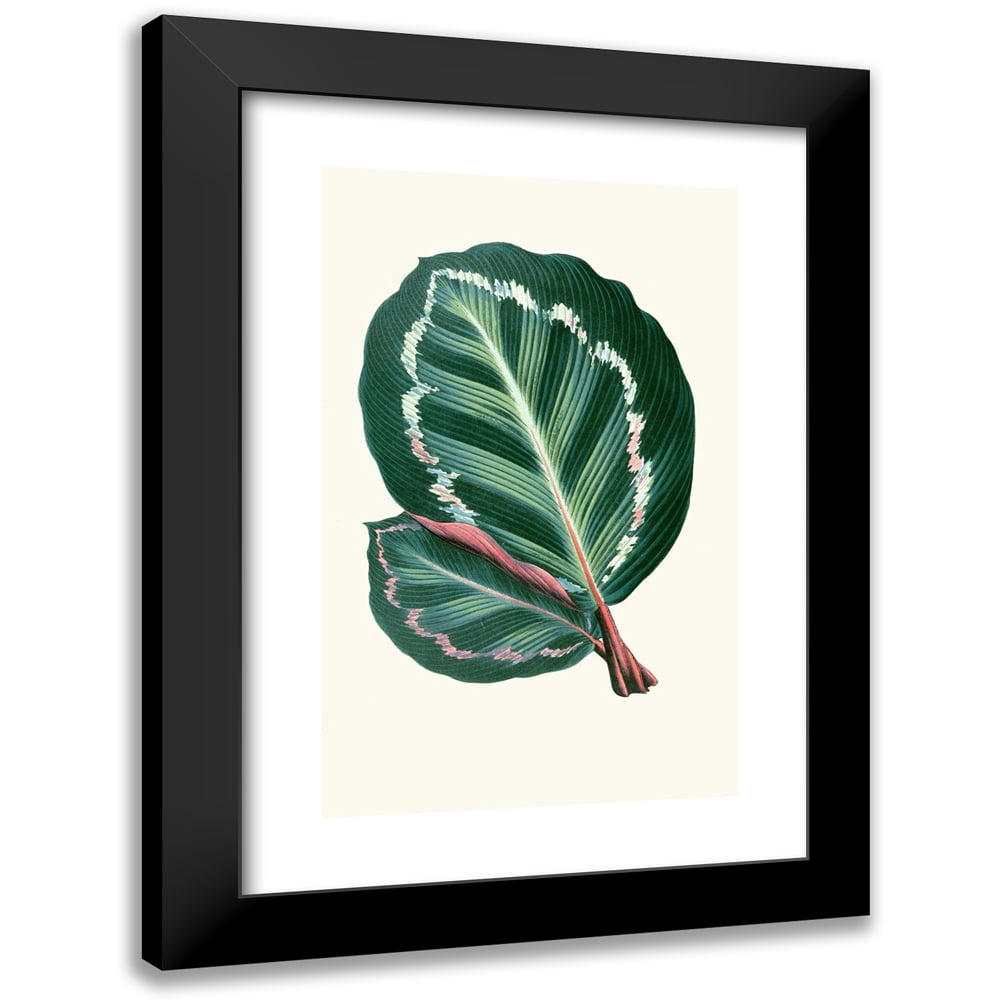 Edward Joseph Lowe 13x18 Black Modern Framed Museum Art Print Titled ...