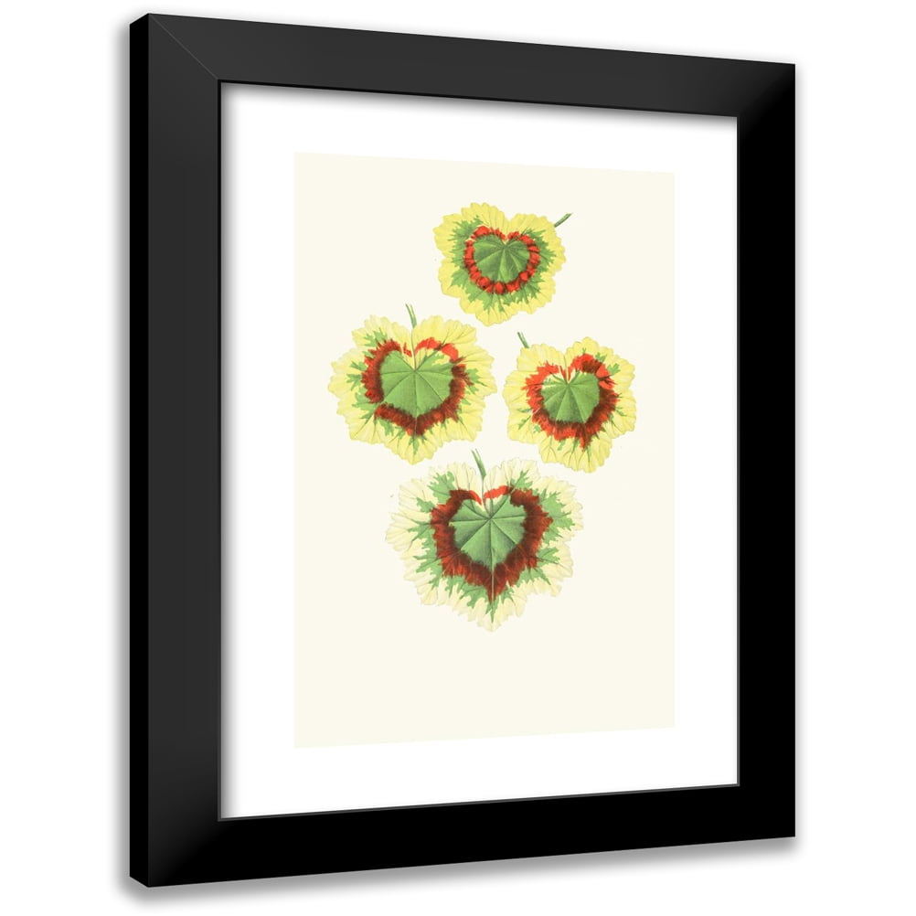 Edward Joseph Lowe 13x18 Black Modern Framed Museum Art Print Titled ...