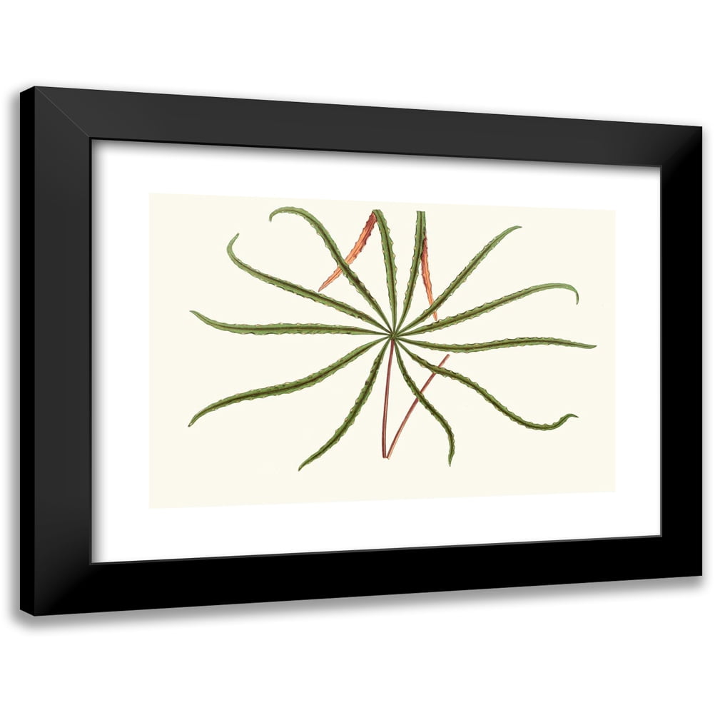Edward Joseph Lowe 14x11 Black Modern Framed Museum Art Print Titled ...