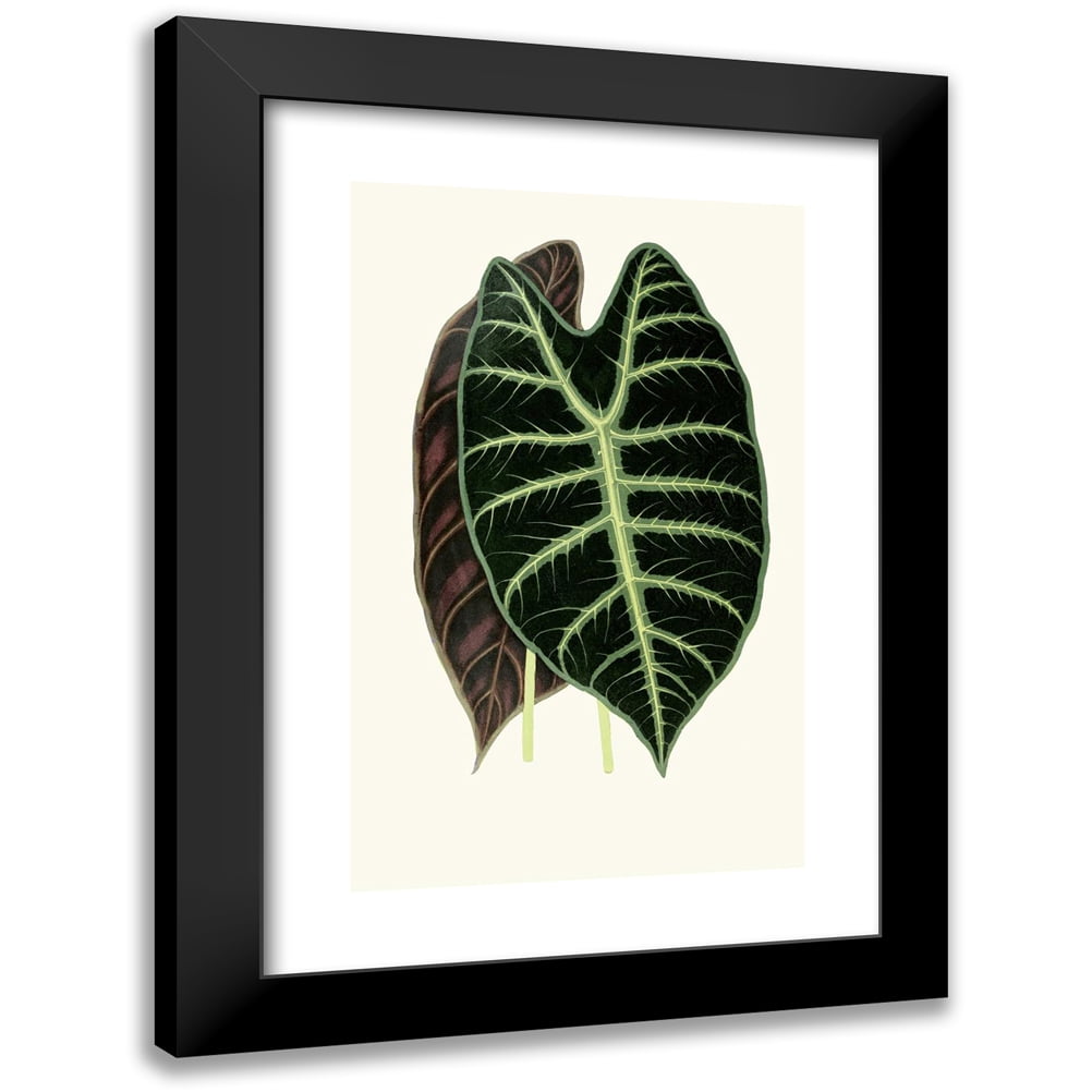 Edward Joseph Lowe 16x24 Black Modern Framed Museum Art Print Titled ...
