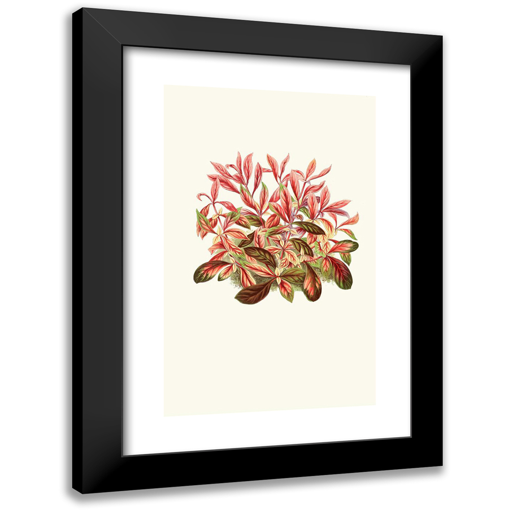 Edward Joseph Lowe 16x24 Black Modern Framed Museum Art Print Titled ...