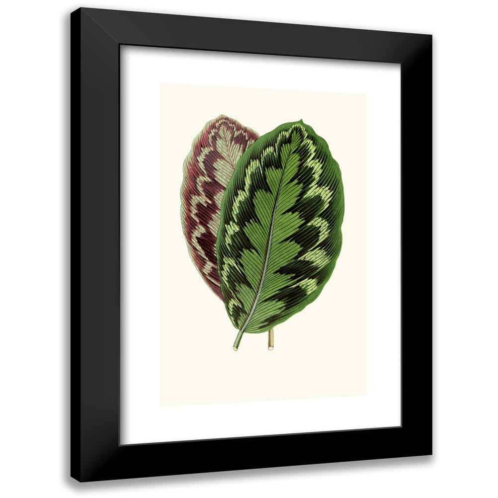 Edward Joseph Lowe 16x24 Black Modern Framed Museum Art Print Titled ...