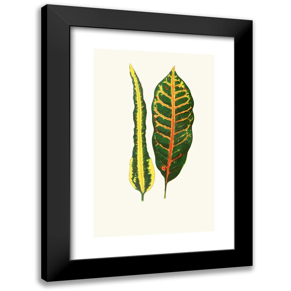 Edward Joseph Lowe 16x24 Black Modern Framed Museum Art Print Titled ...