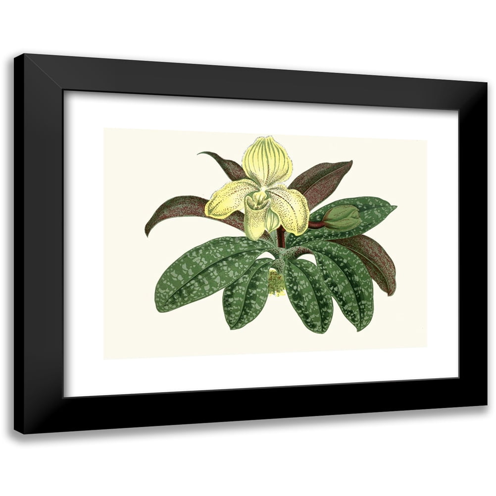 Edward Joseph Lowe 24x18 Black Modern Framed Museum Art Print Titled ...
