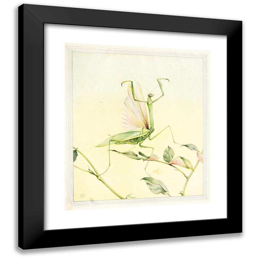 Edward Julius Detmold 12x14 Black Modern Framed Museum Art Print Titled ...