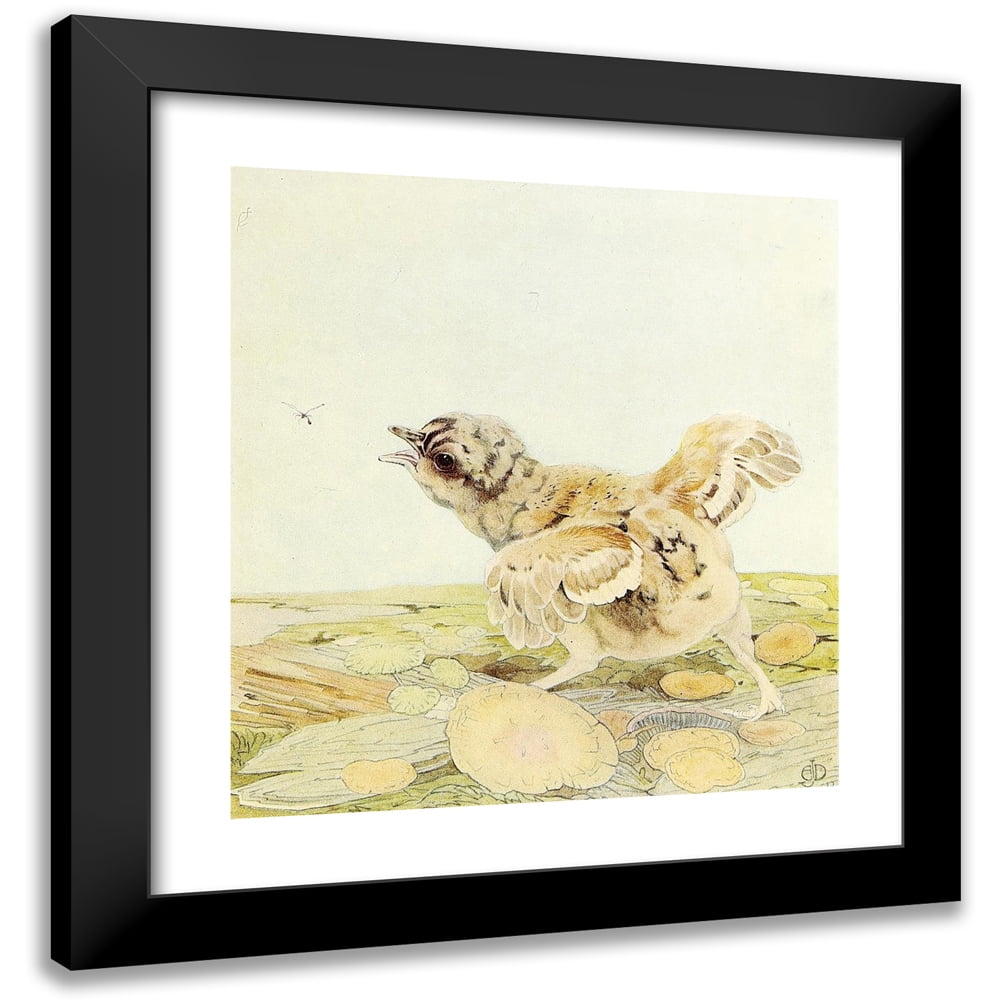 Edward Julius Detmold 15x16 Black Modern Framed Museum Art Print Titled ...