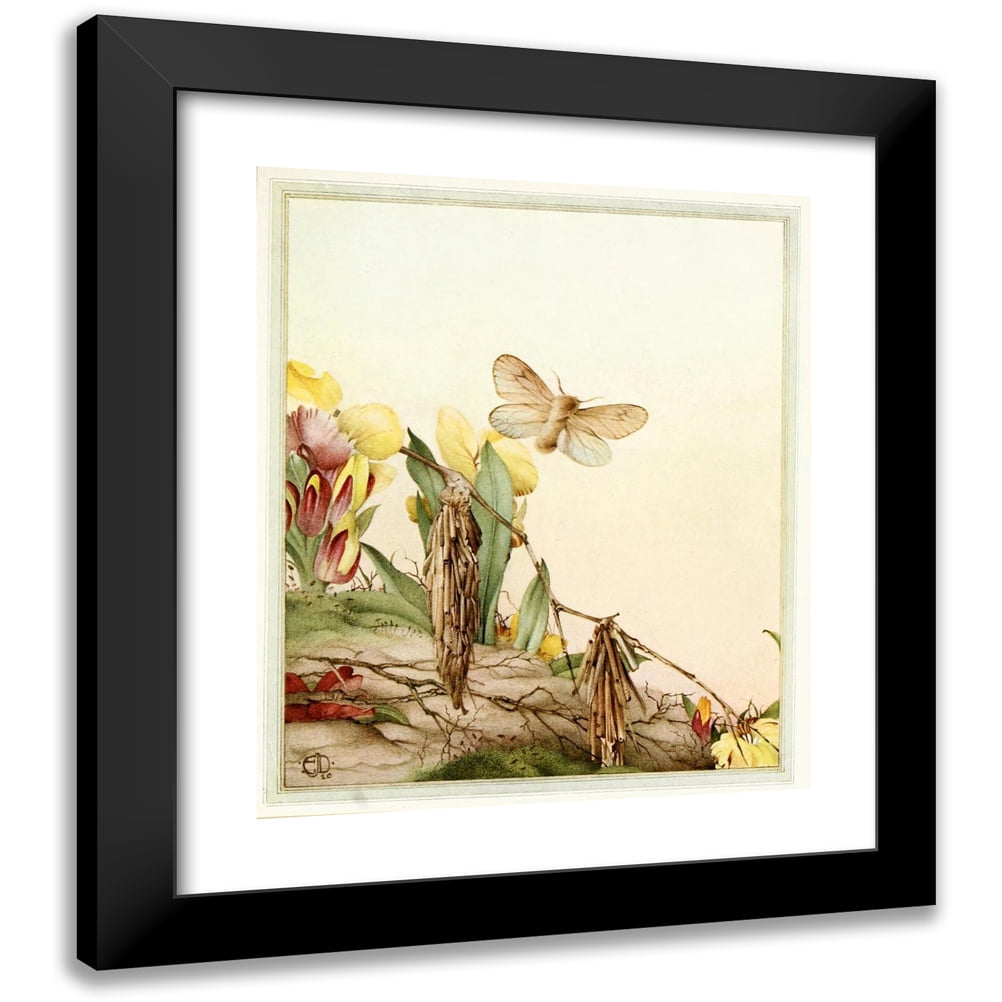 Edward Julius Detmold 15x17 Black Modern Framed Museum Art Print Titled ...