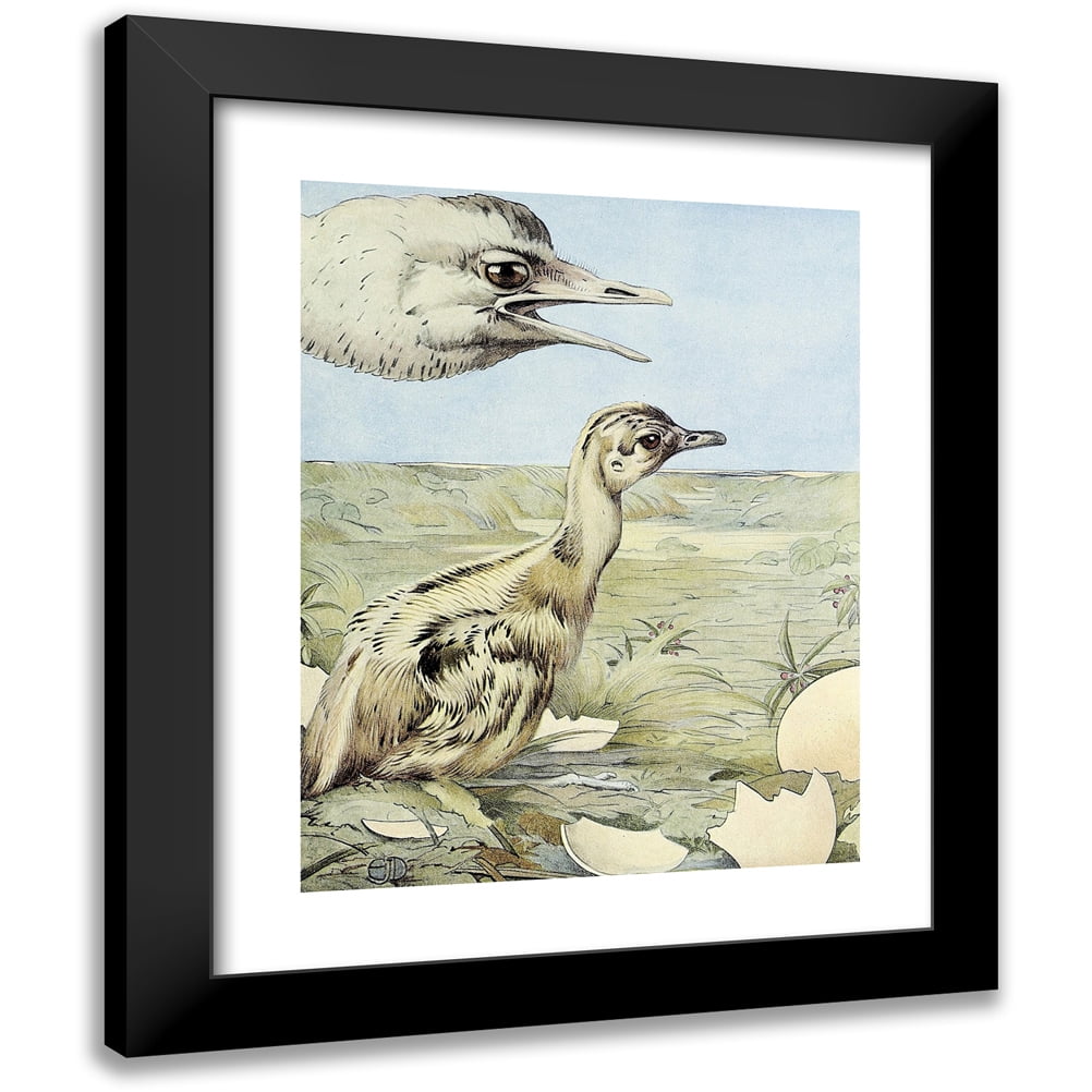 Edward Julius Detmold 15x18 Black Modern Framed Museum Art Print Titled ...