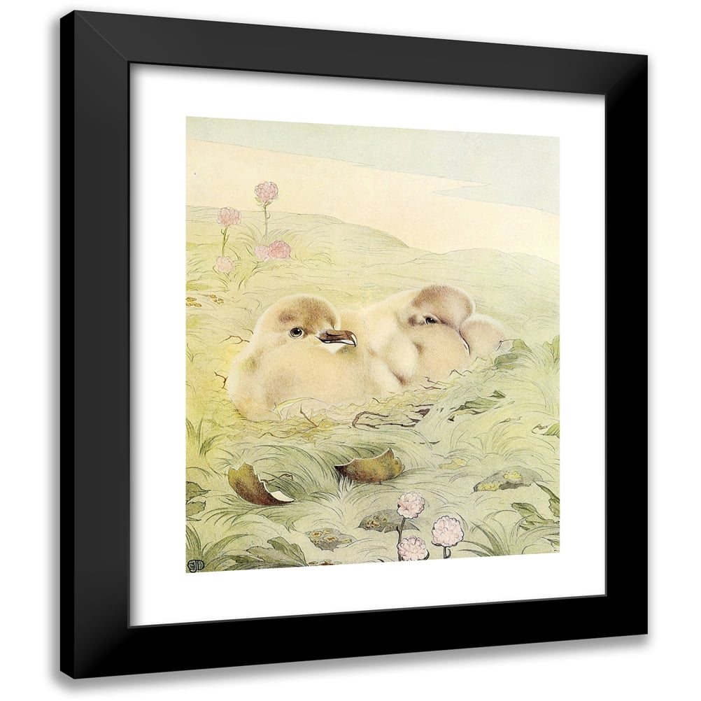 Edward Julius Detmold 15x18 Black Modern Framed Museum Art Print Titled ...