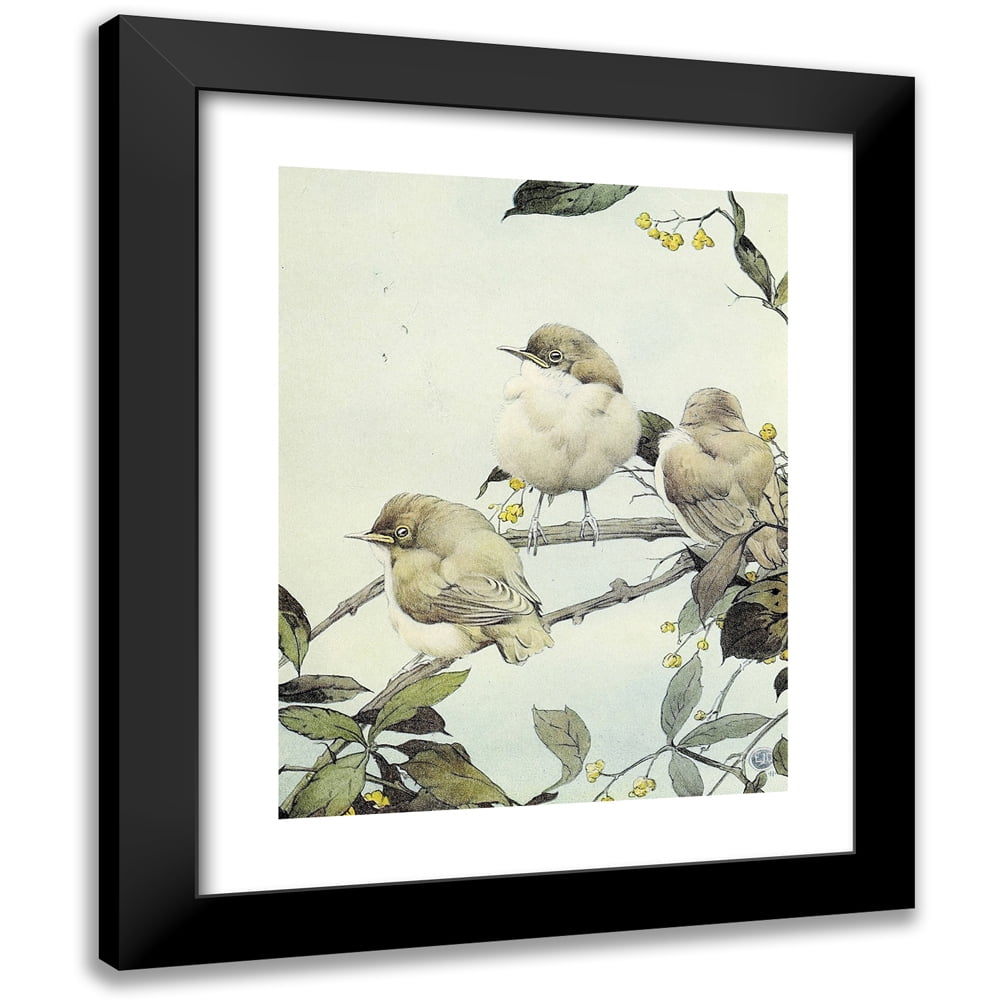 Edward Julius Detmold 15x18 Black Modern Framed Museum Art Print Titled ...