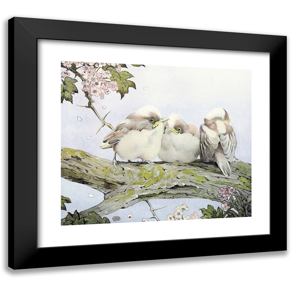 Edward Julius Detmold 17x15 Black Modern Framed Museum Art Print Titled ...