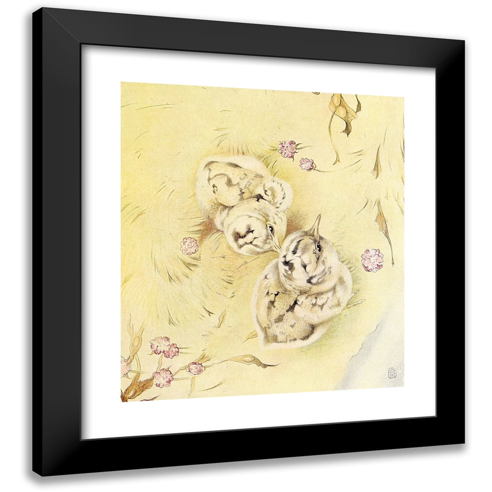 Edward Julius Detmold 20x22 Black Modern Framed Museum Art Print Titled ...