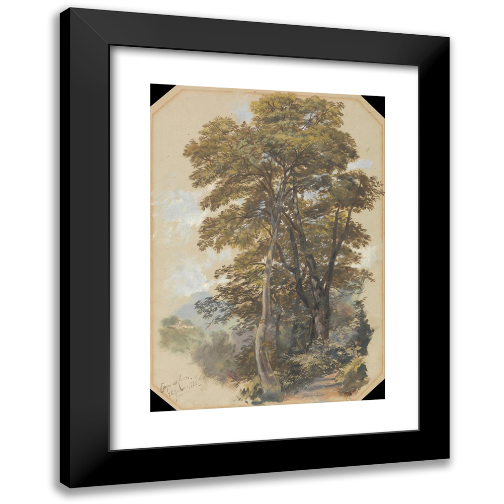 Edward Lear 11x14 Black Modern Framed Museum Art Print Titled - Body of ...