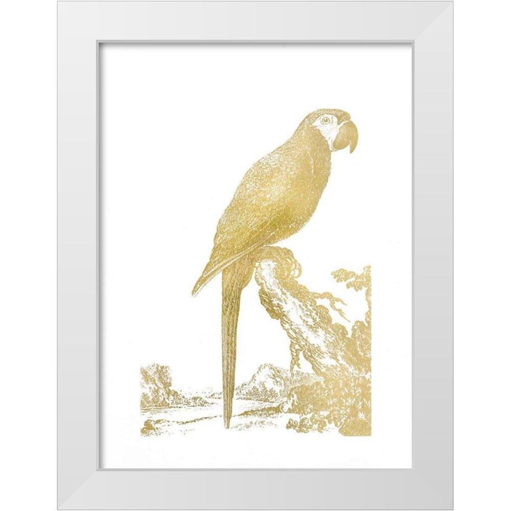 Edwards 25x32 White Modern Wood Framed Museum Art Print Titled - Gold ...