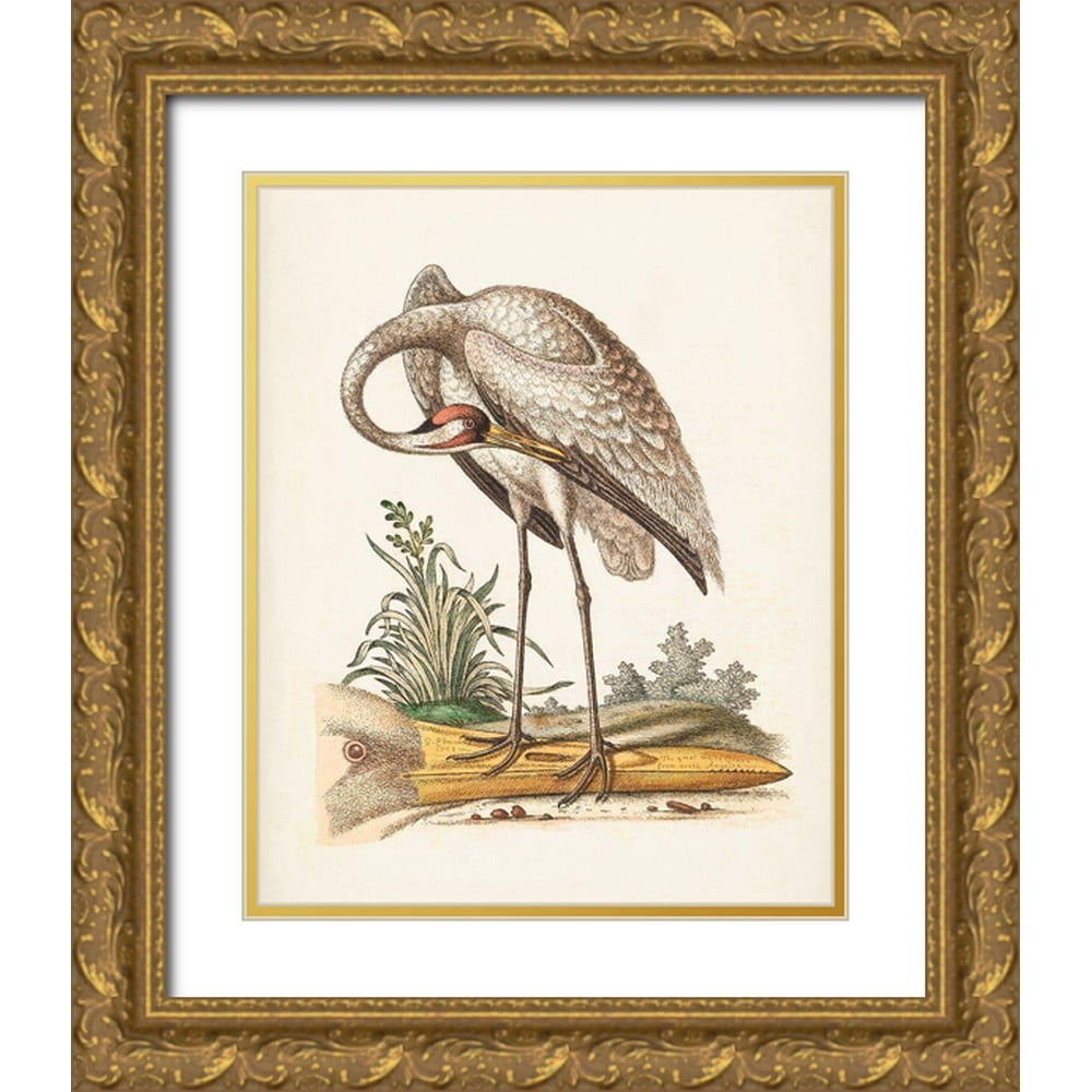 Edwards, George 12x14 Gold Ornate Wood Framed with Double Matting ...